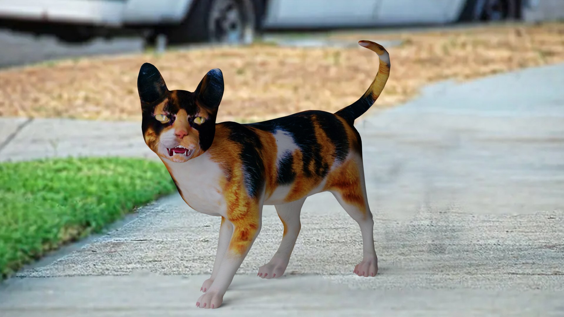 Calico Cat Rigged And Animated V4 In Blender 3D Model - TurboSquid 1985478