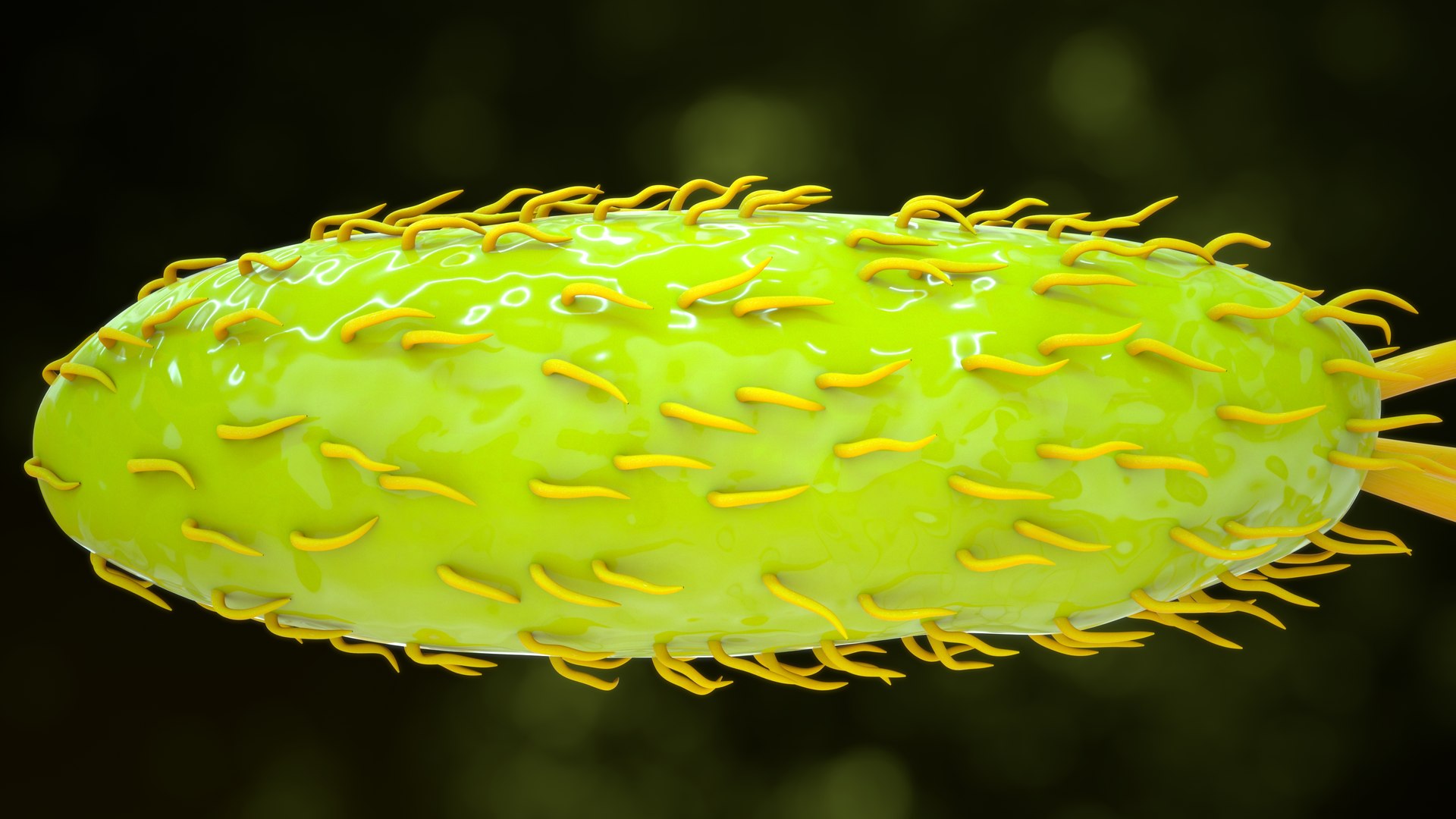 3D Archea - TurboSquid 2209580