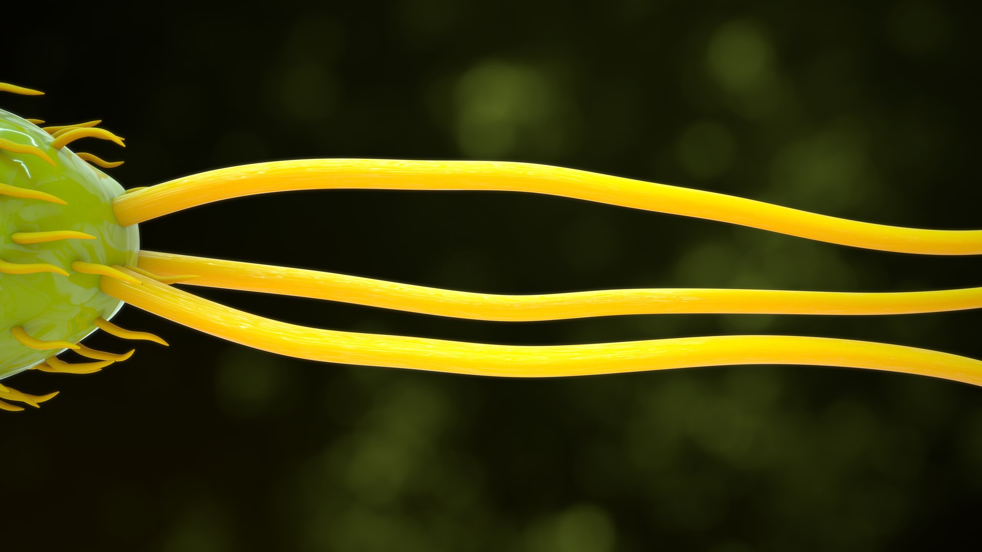 3D Archea - TurboSquid 2209580