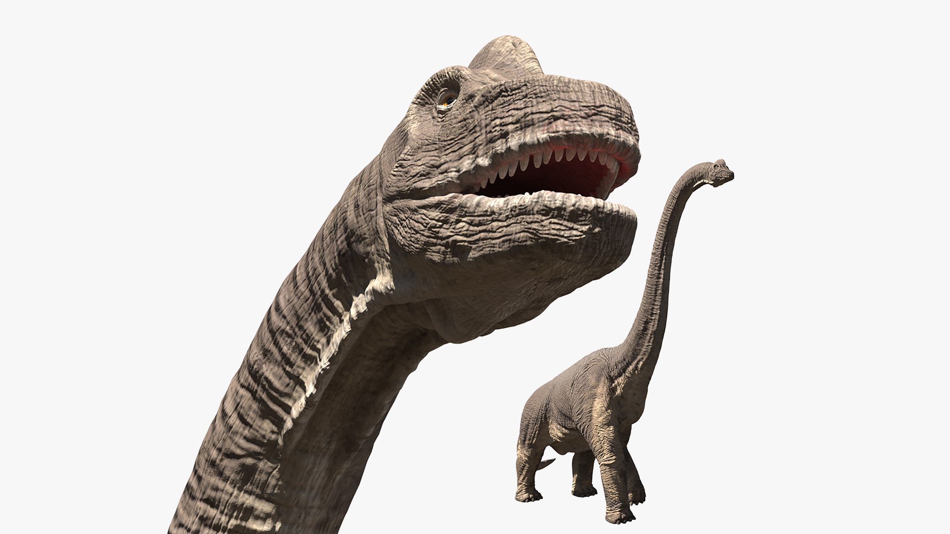 Brachiosaurus Dinosaur Rigged For Maya 3D Model - TurboSquid 2425622