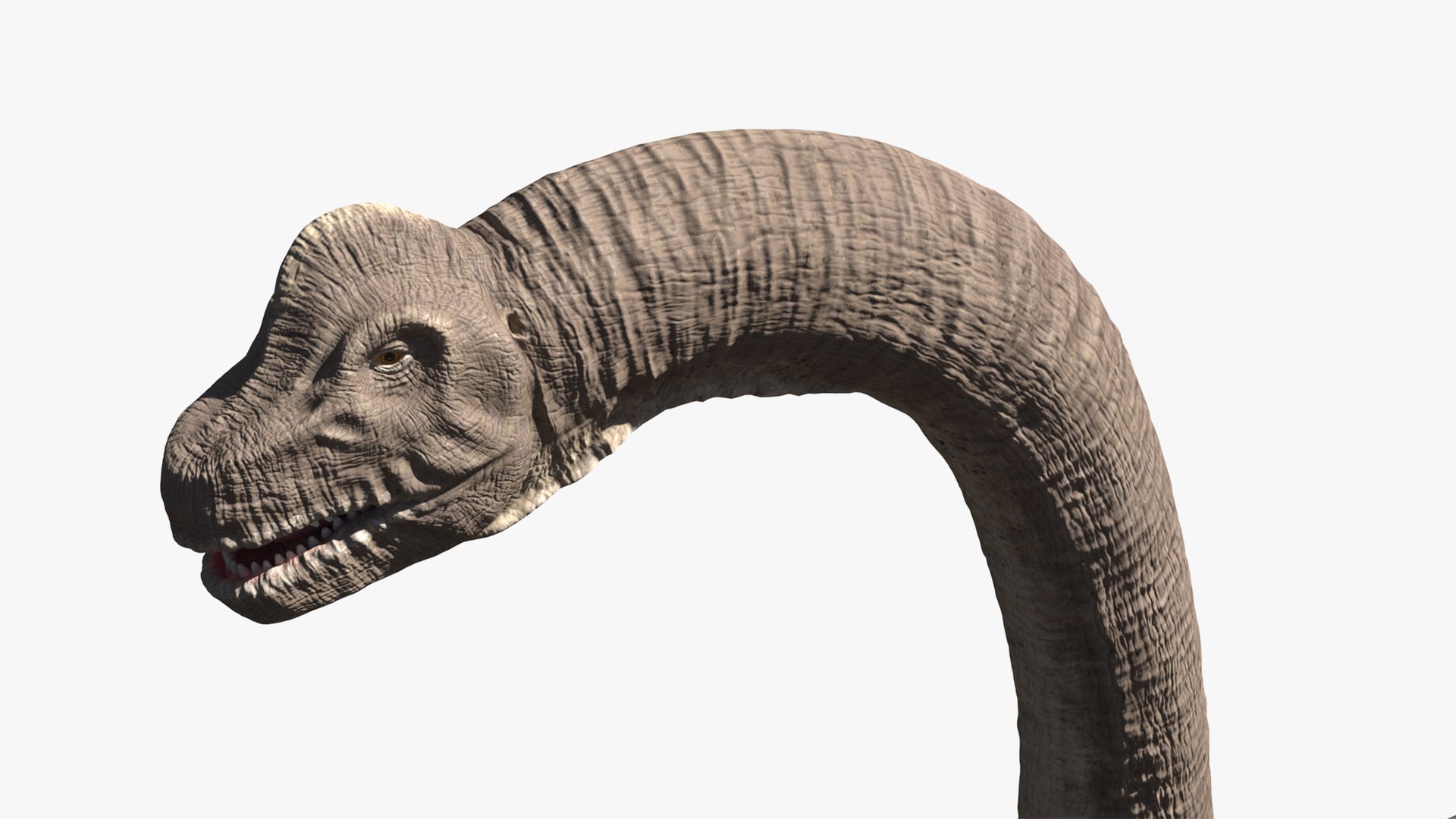Brachiosaurus Dinosaur Rigged For Maya 3D Model - TurboSquid 2425622
