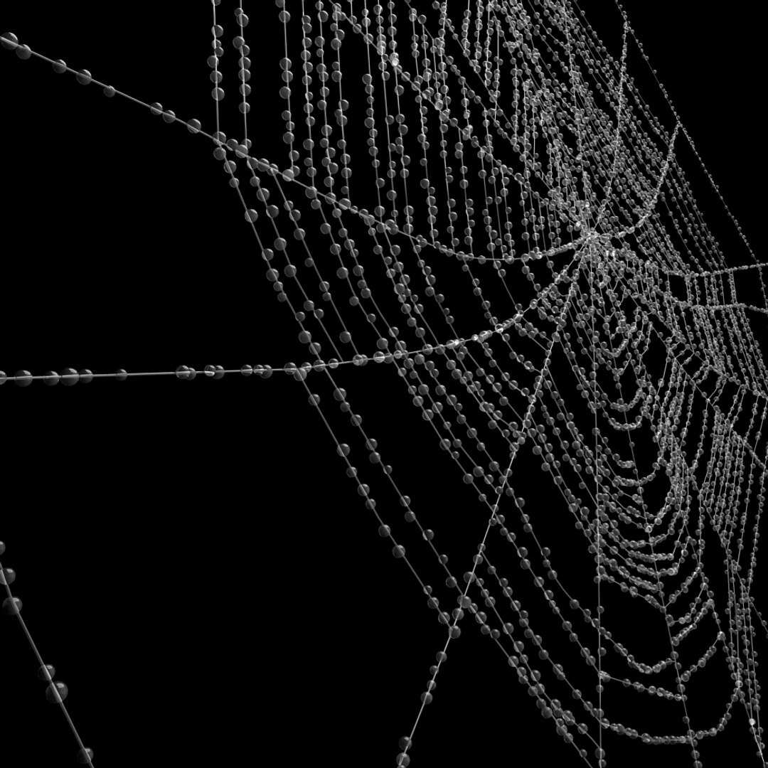 Spiderweb Web 3d Model