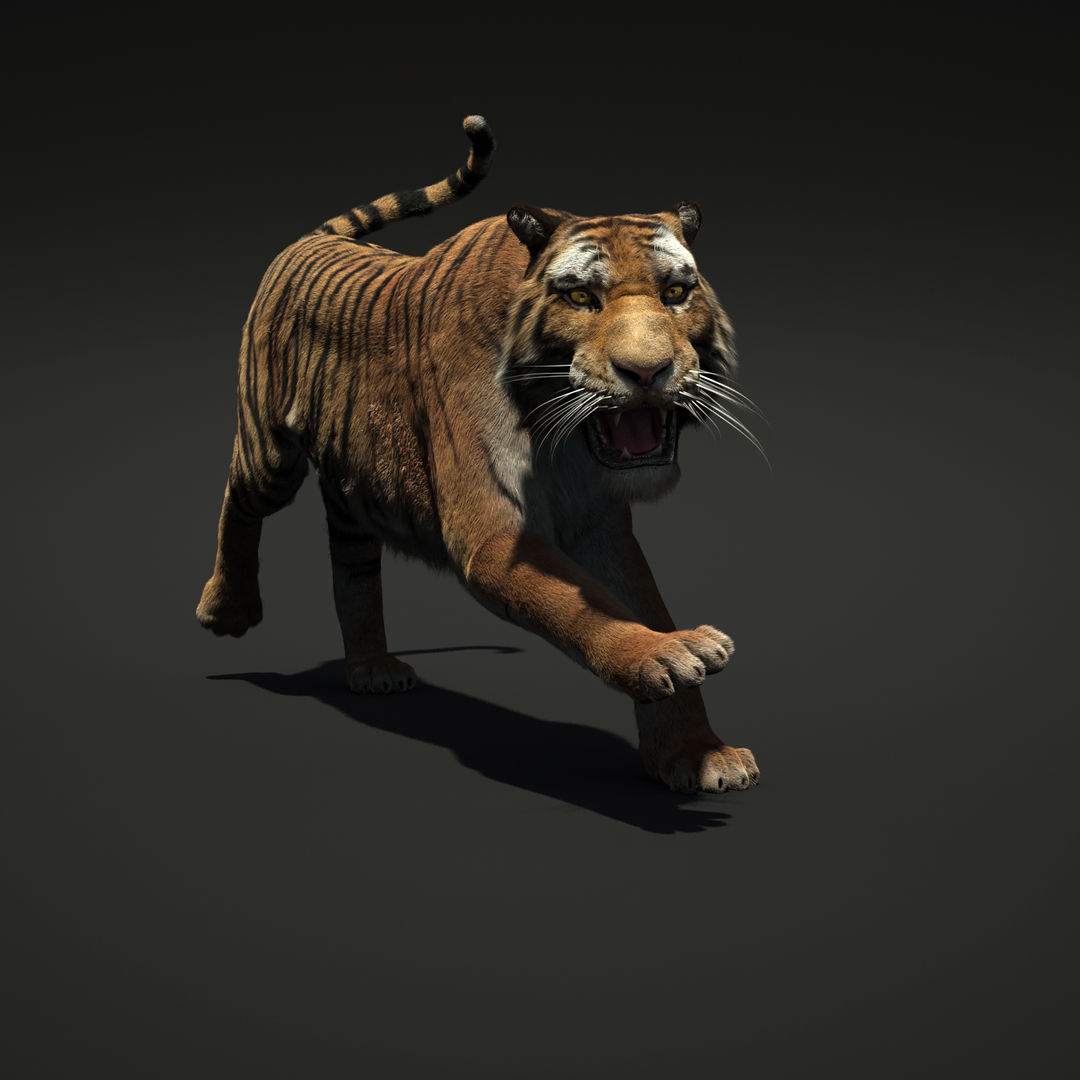 3d tiger fur rigged model