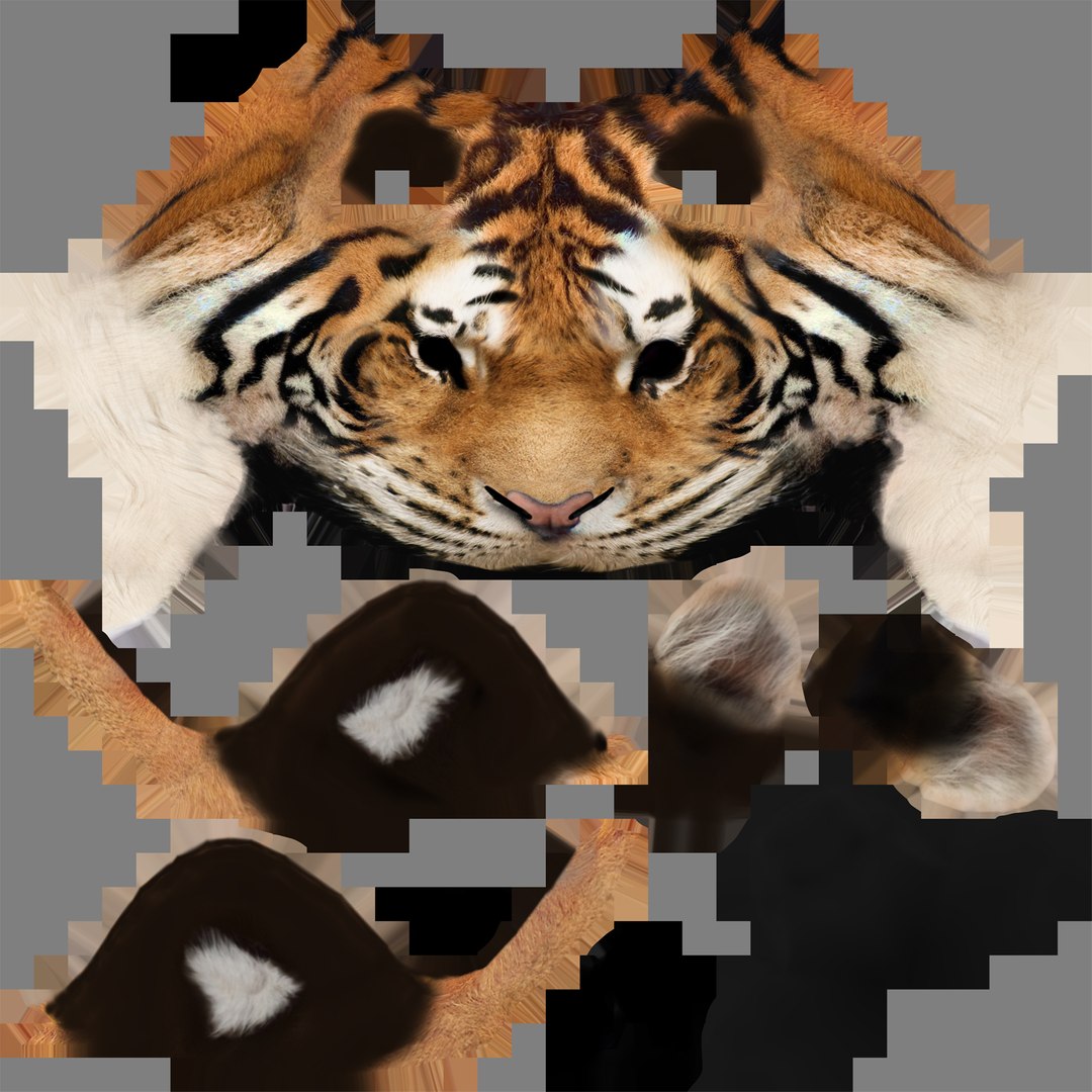 3d tiger fur rigged model