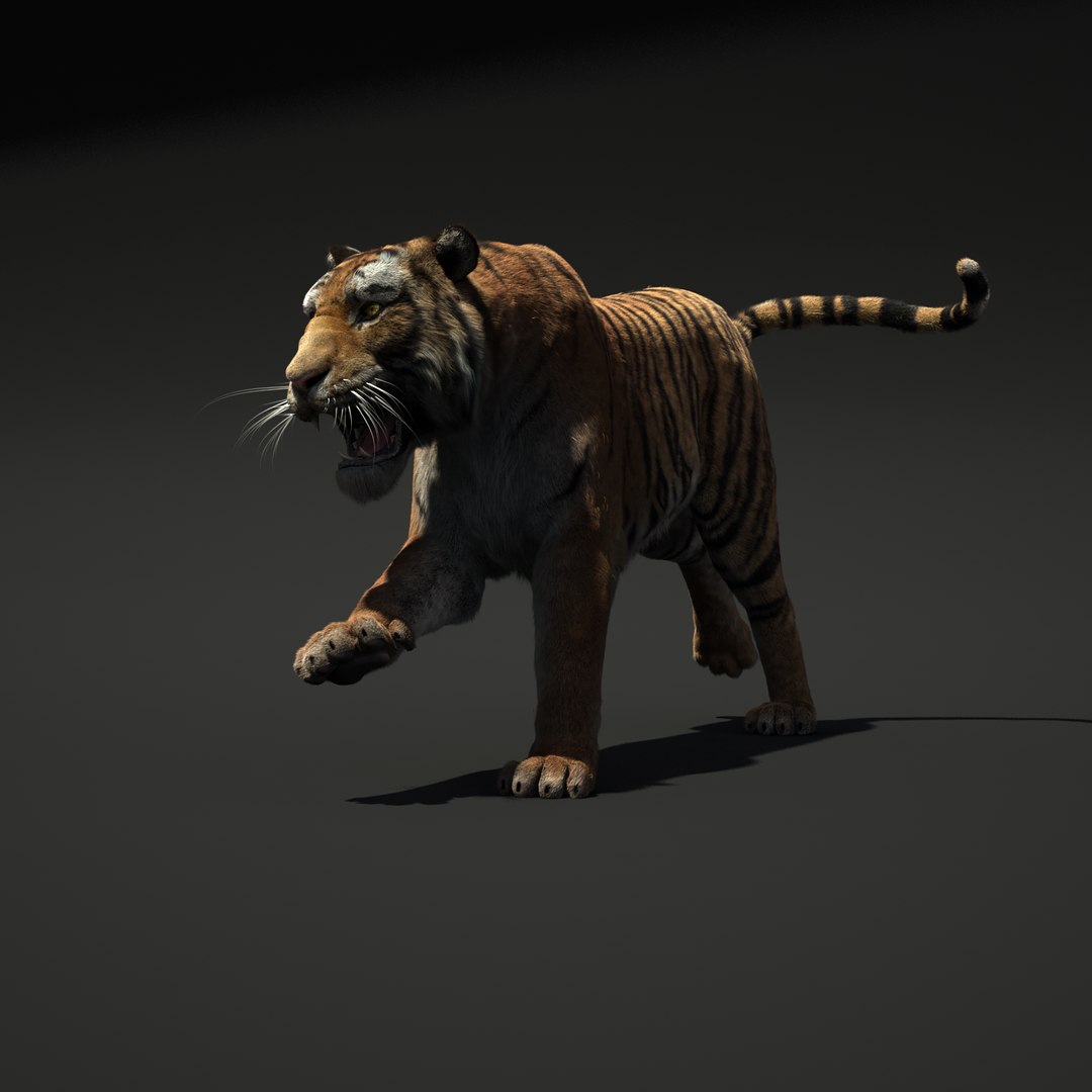 3d tiger fur rigged model