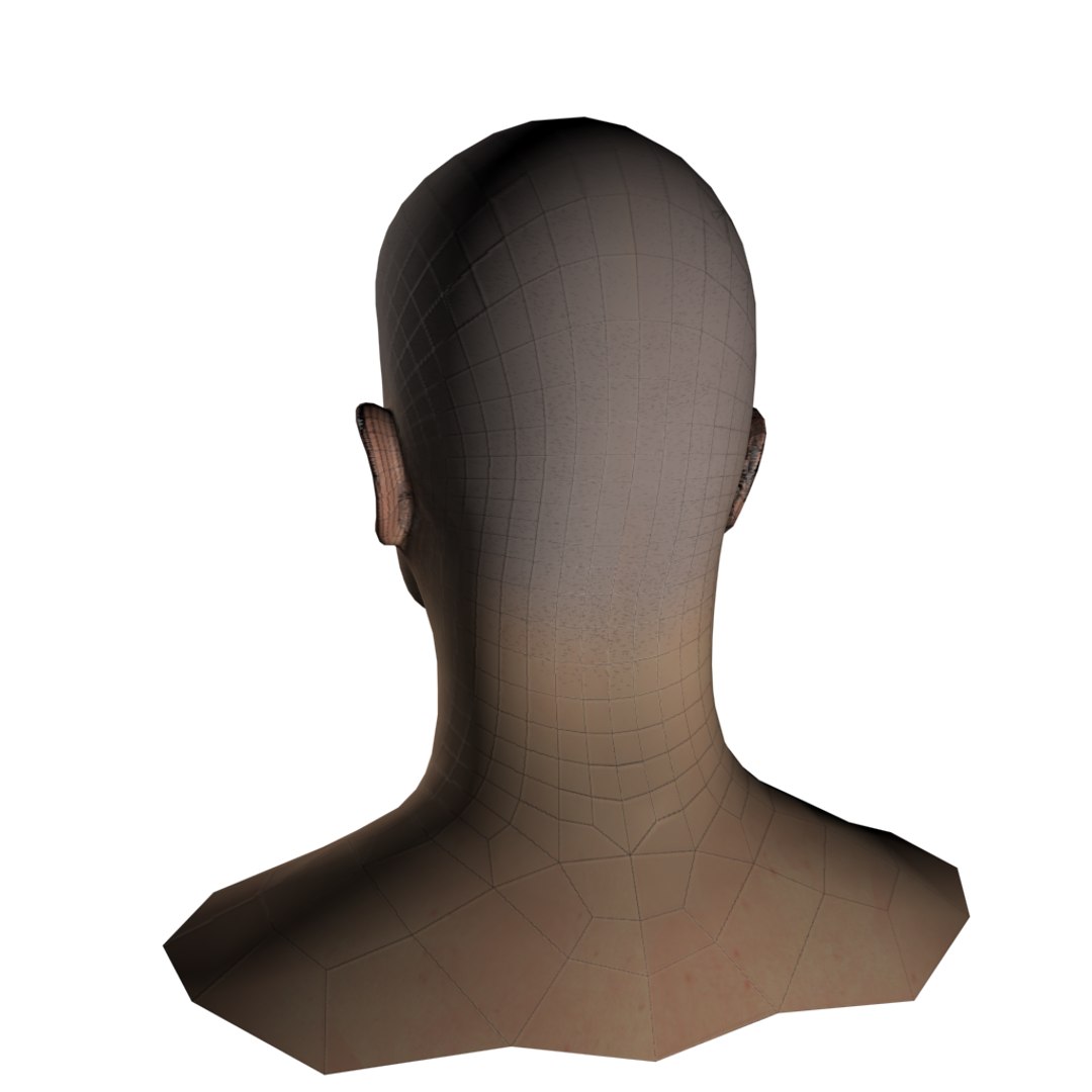 3d Model Rigged Head