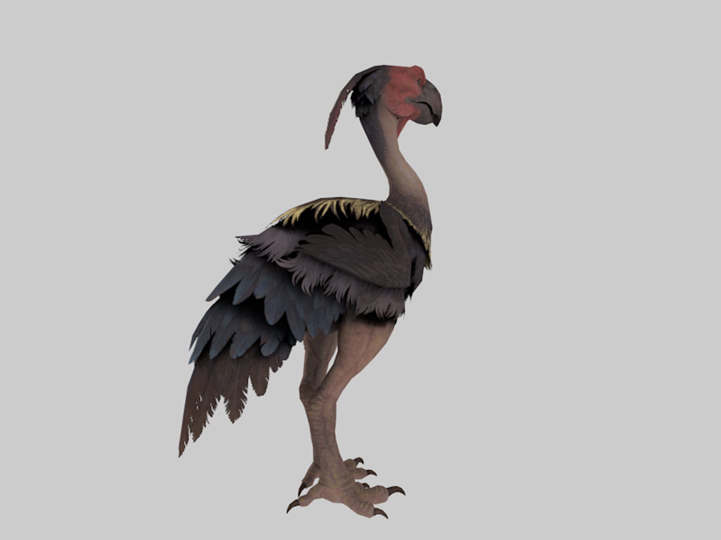 3D Death Bird Model - TurboSquid 2371831
