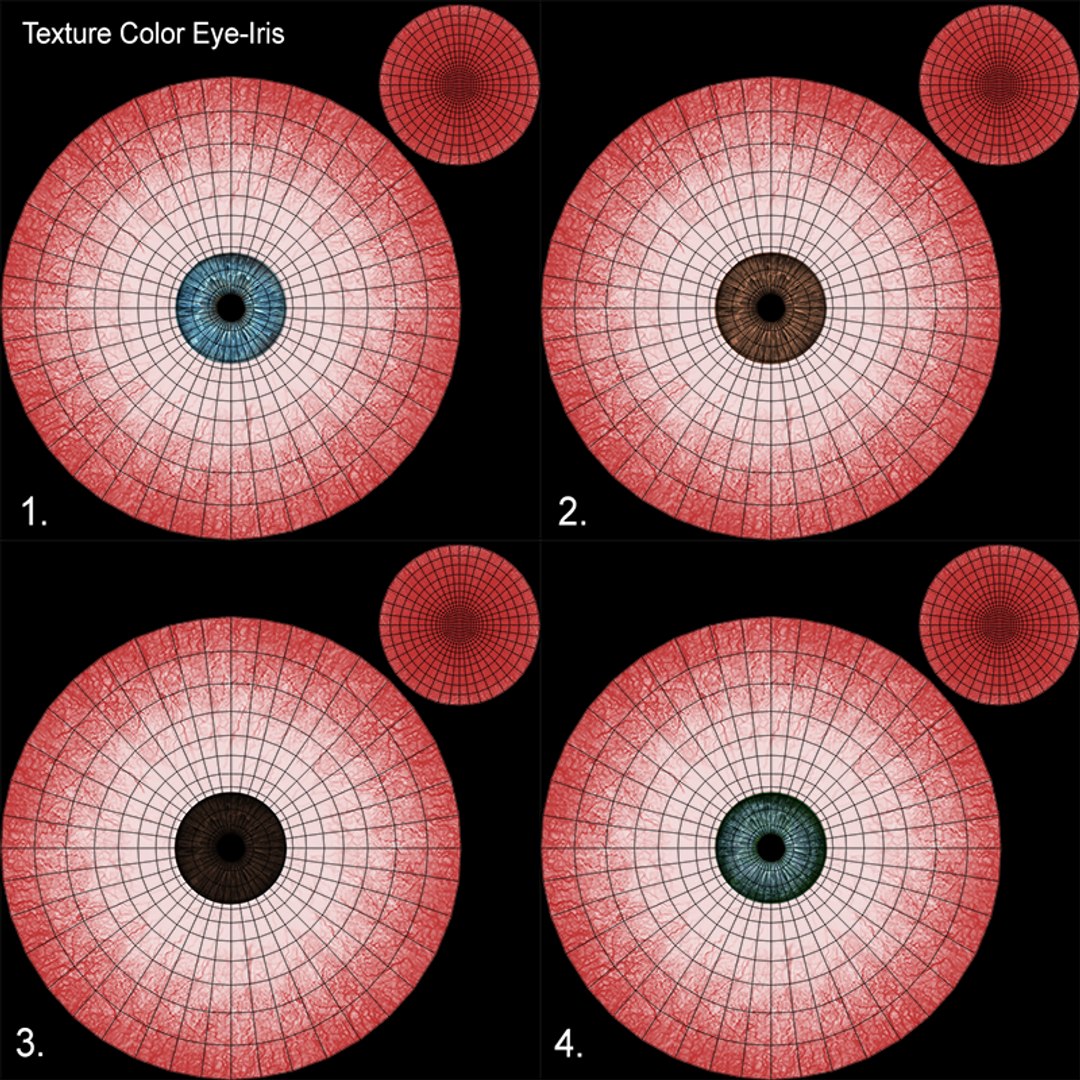 3D Photorealistic Human Eye Eyeball Iris Model - TurboSquid 1384075