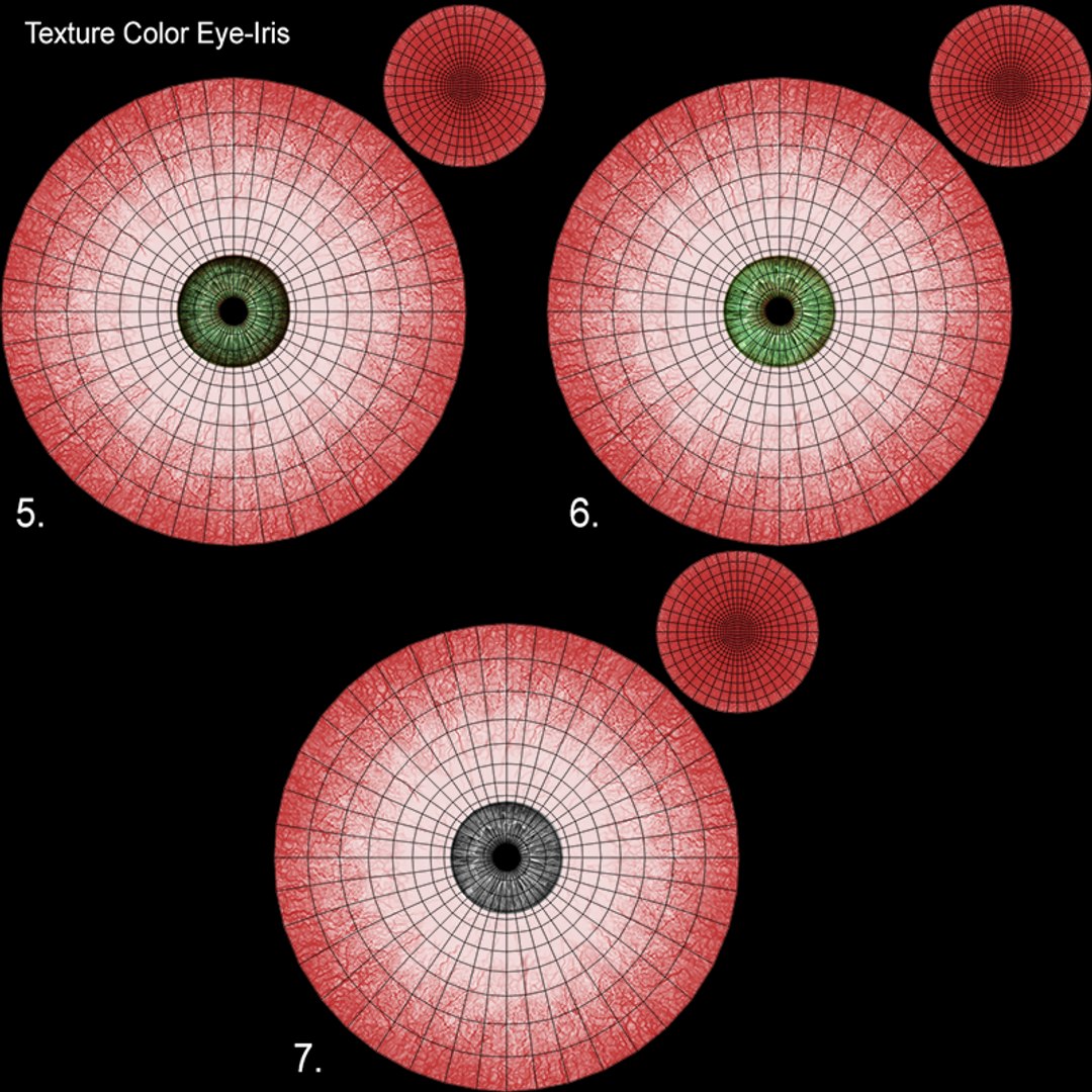 3D Photorealistic Human Eye Eyeball Iris Model - TurboSquid 1384075