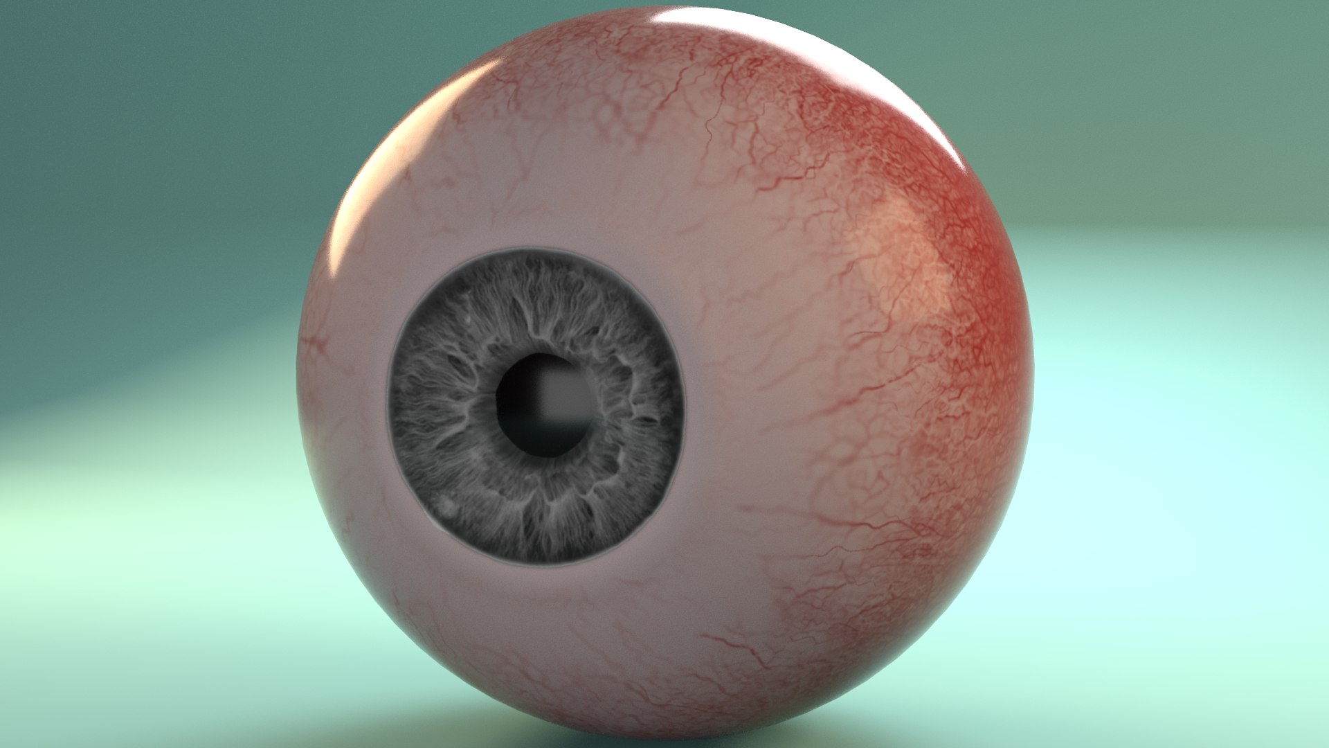 3D Photorealistic Human Eye Eyeball Iris Model - TurboSquid 1384075