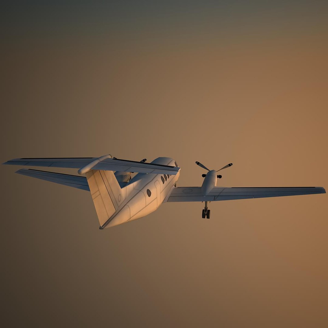 3d Beech Basic Model