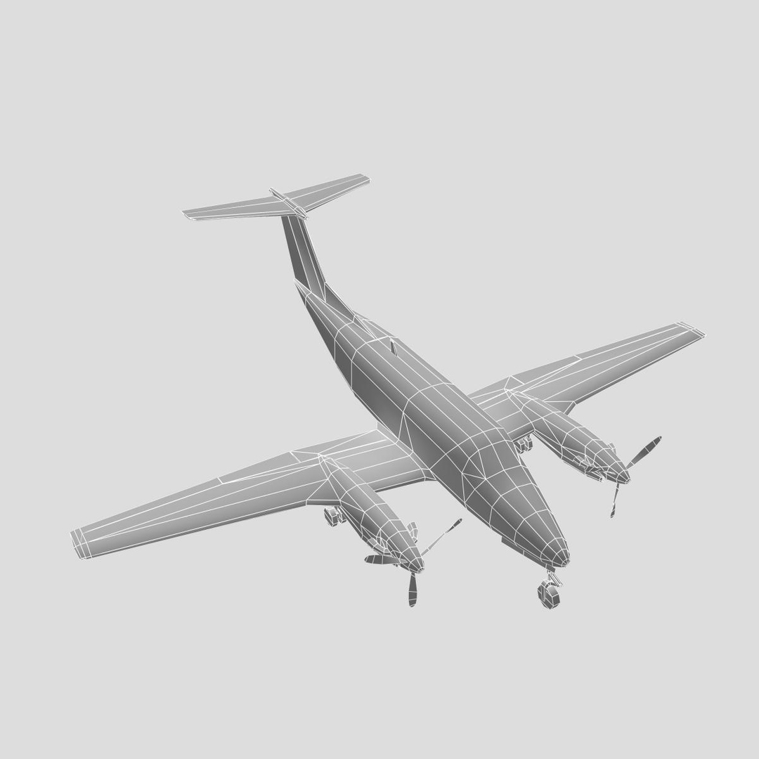 3d Beech Basic Model