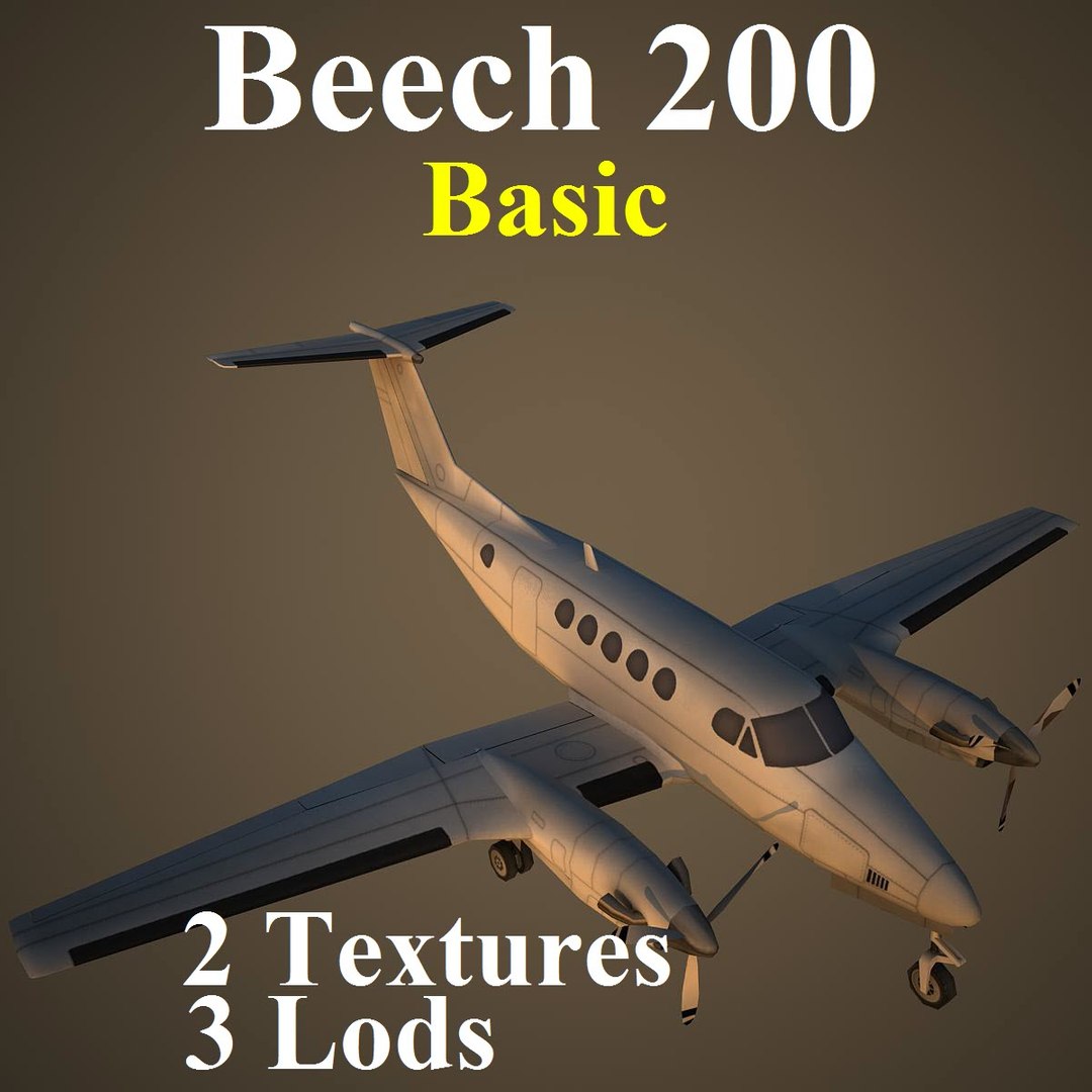 3d Beech Basic Model
