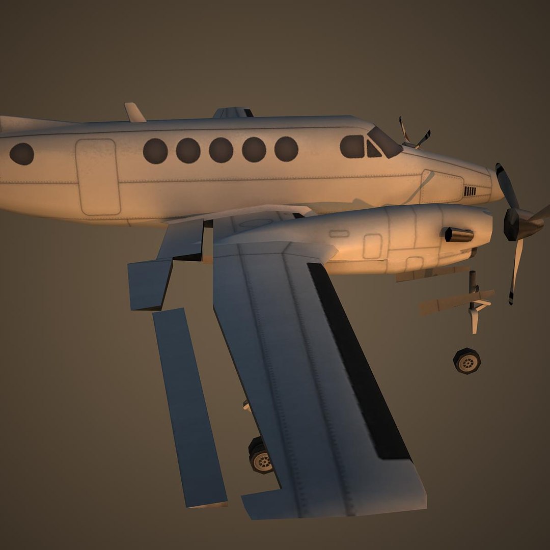 3d Beech Basic Model