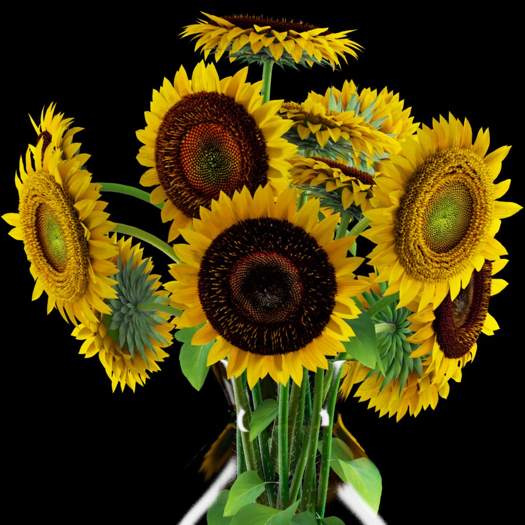 3d Sunflower Flower