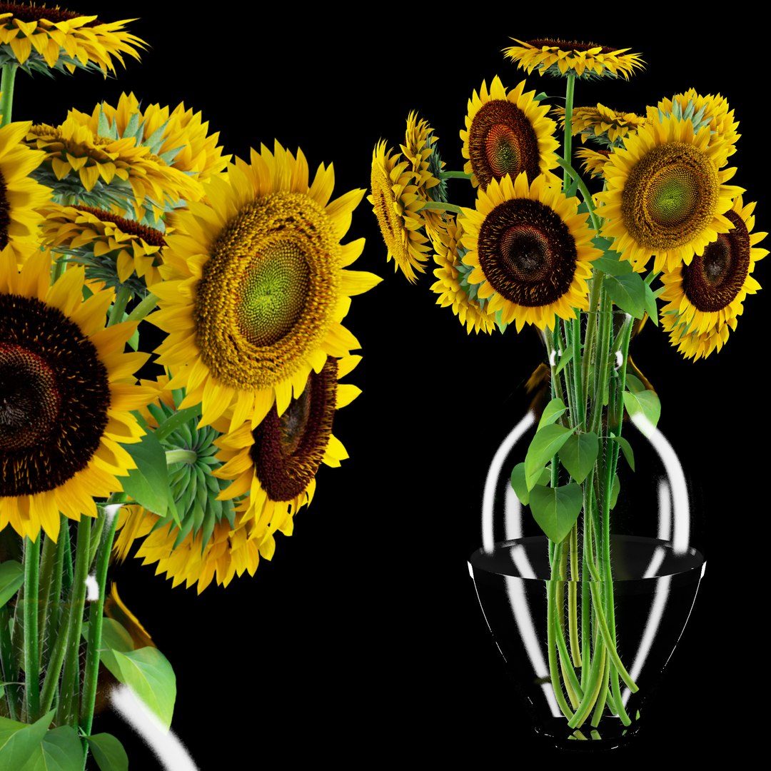 3d Sunflower Flower