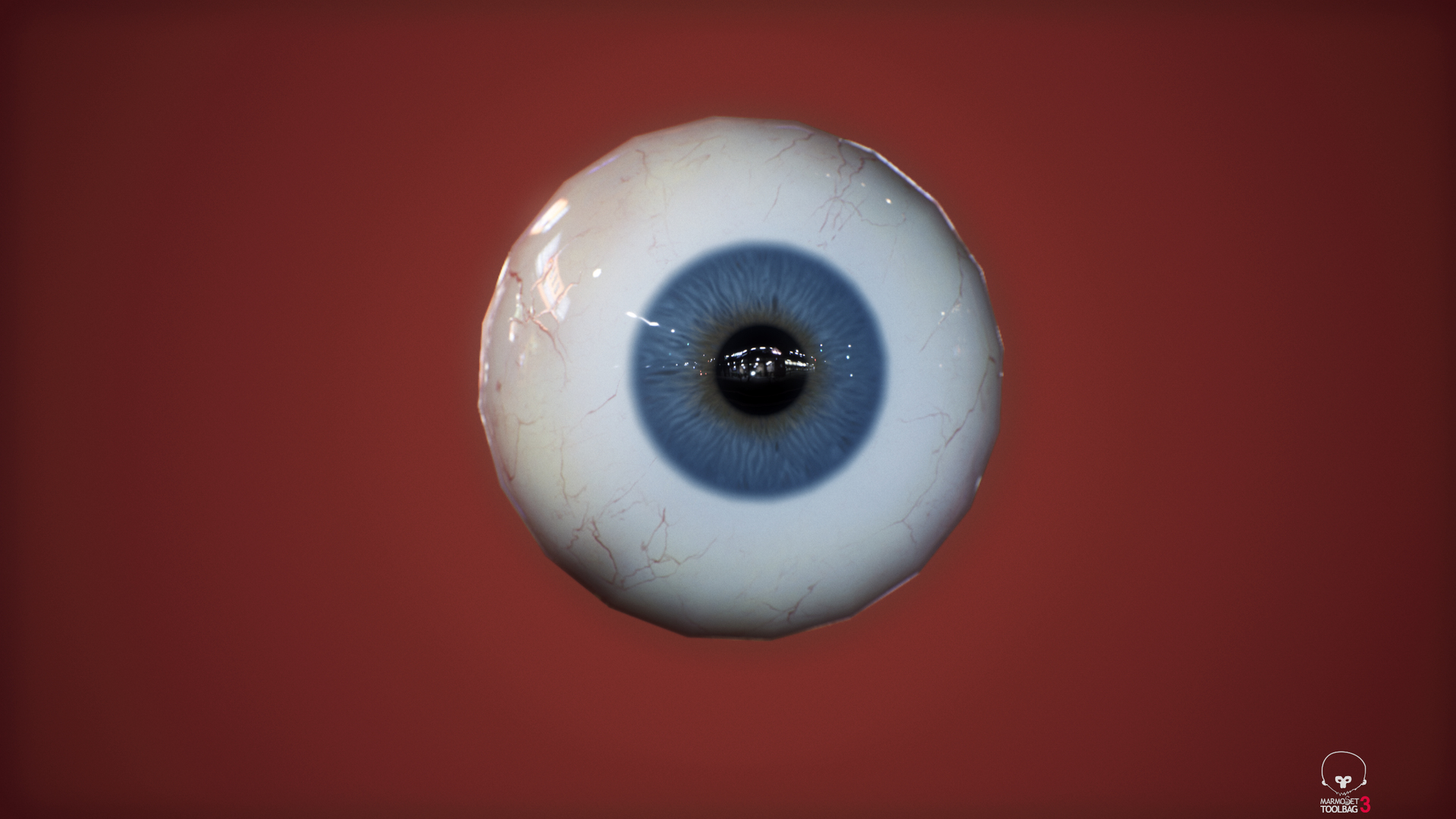 Free 3D 16 Colors of Realistic Eye - Demo Free model - TurboSquid 1765448