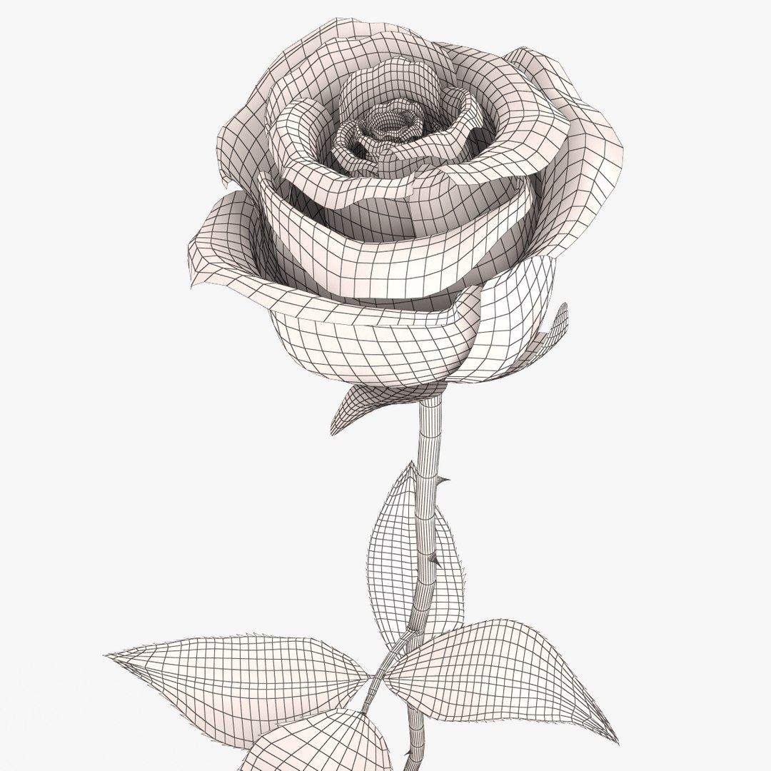 3d Rose Modeled Leaf