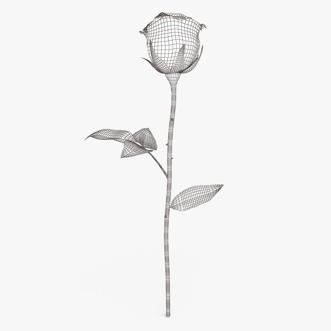 3d Rose Modeled Leaf