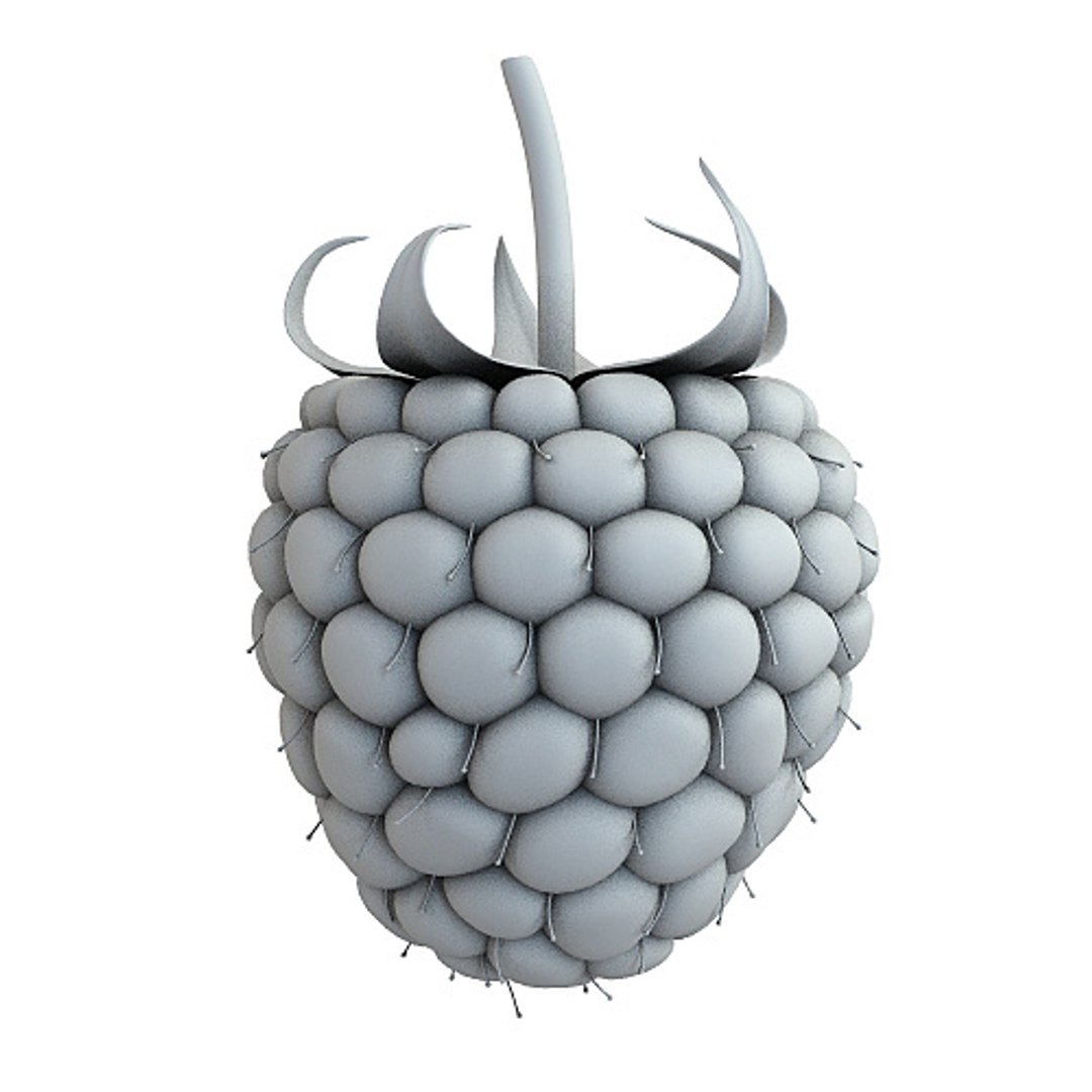 realistic raspberry 3d model