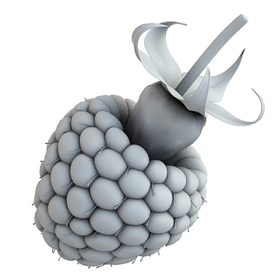 realistic raspberry 3d model