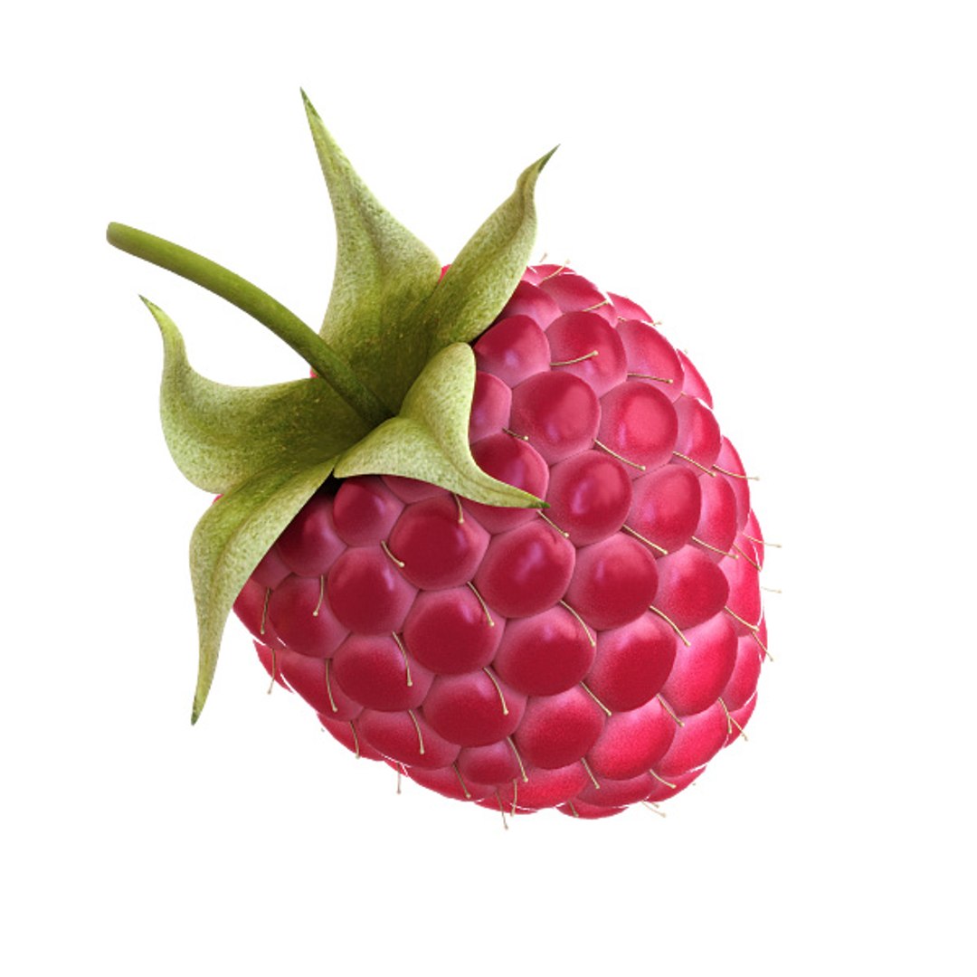 realistic raspberry 3d model
