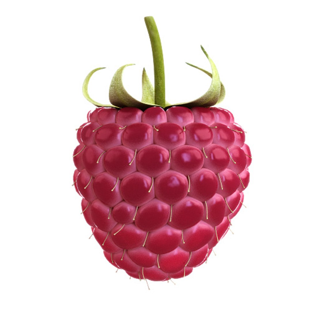 realistic raspberry 3d model