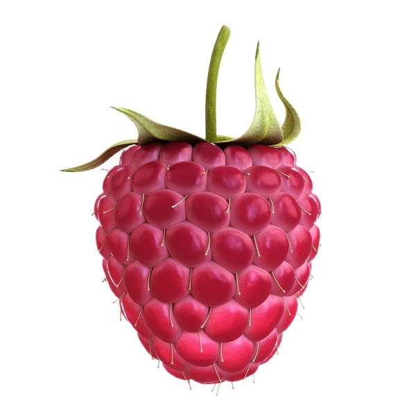raspberry plate 3d model