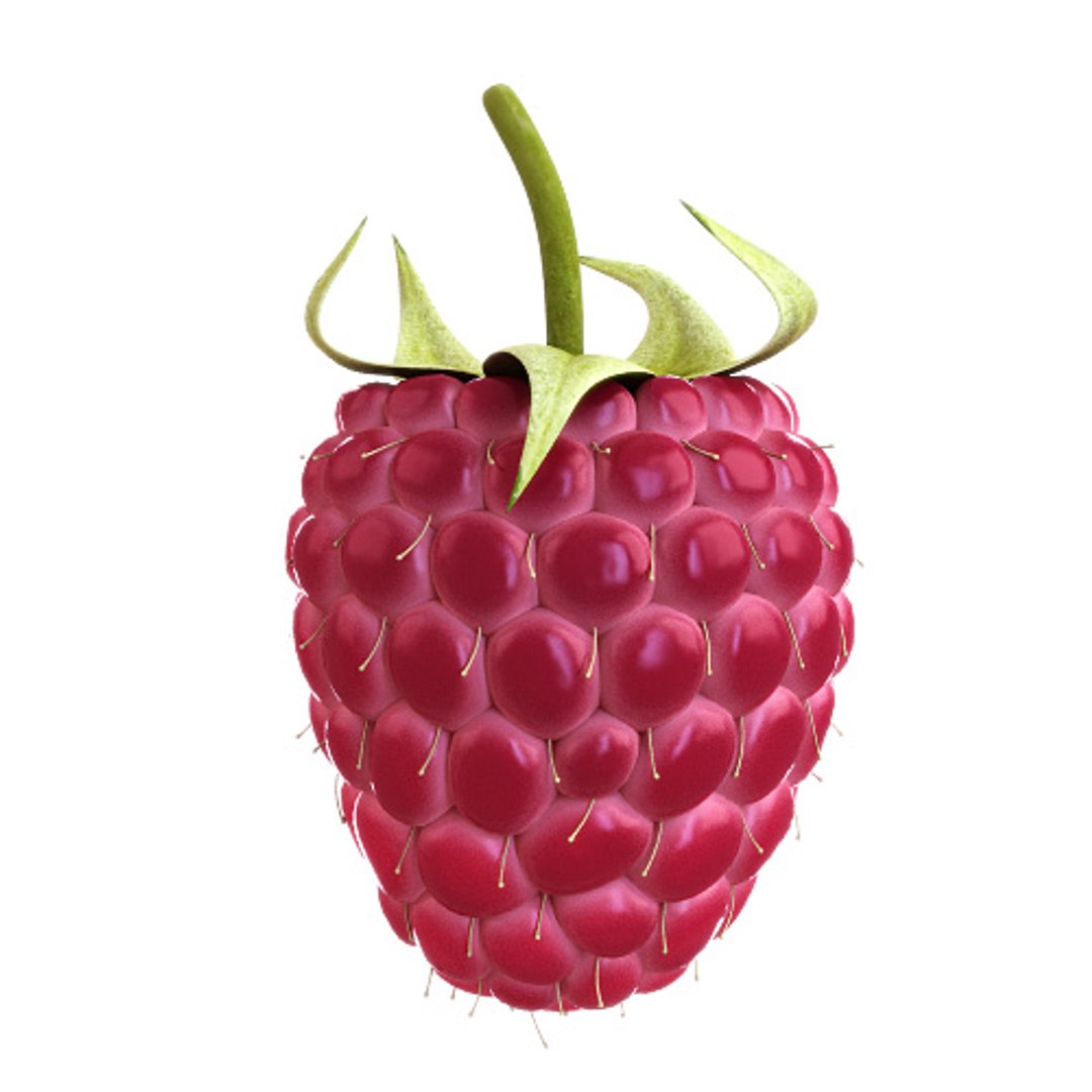 realistic raspberry 3d model