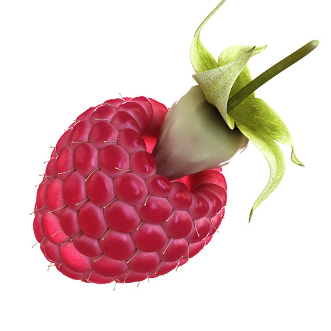 realistic raspberry 3d model