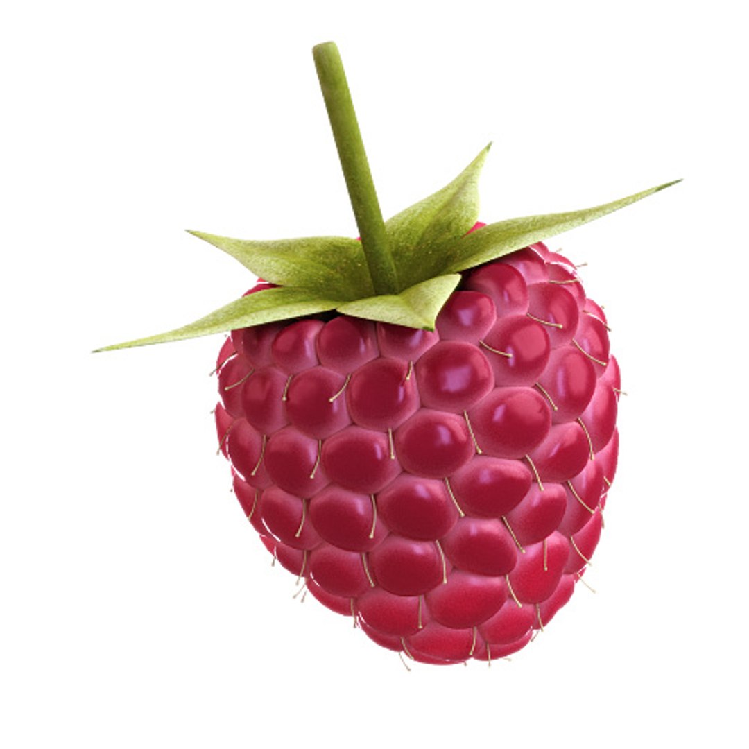 realistic raspberry 3d model