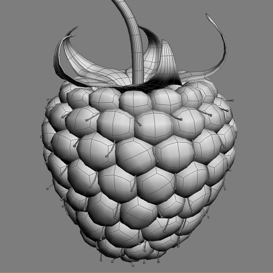 realistic raspberry 3d model