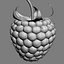 realistic raspberry 3d model