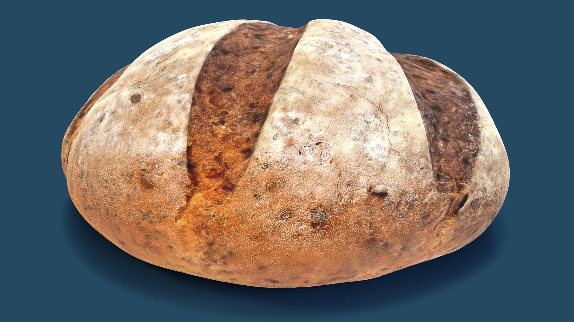 3D No-Knead Artisan Bread model - TurboSquid 2161973