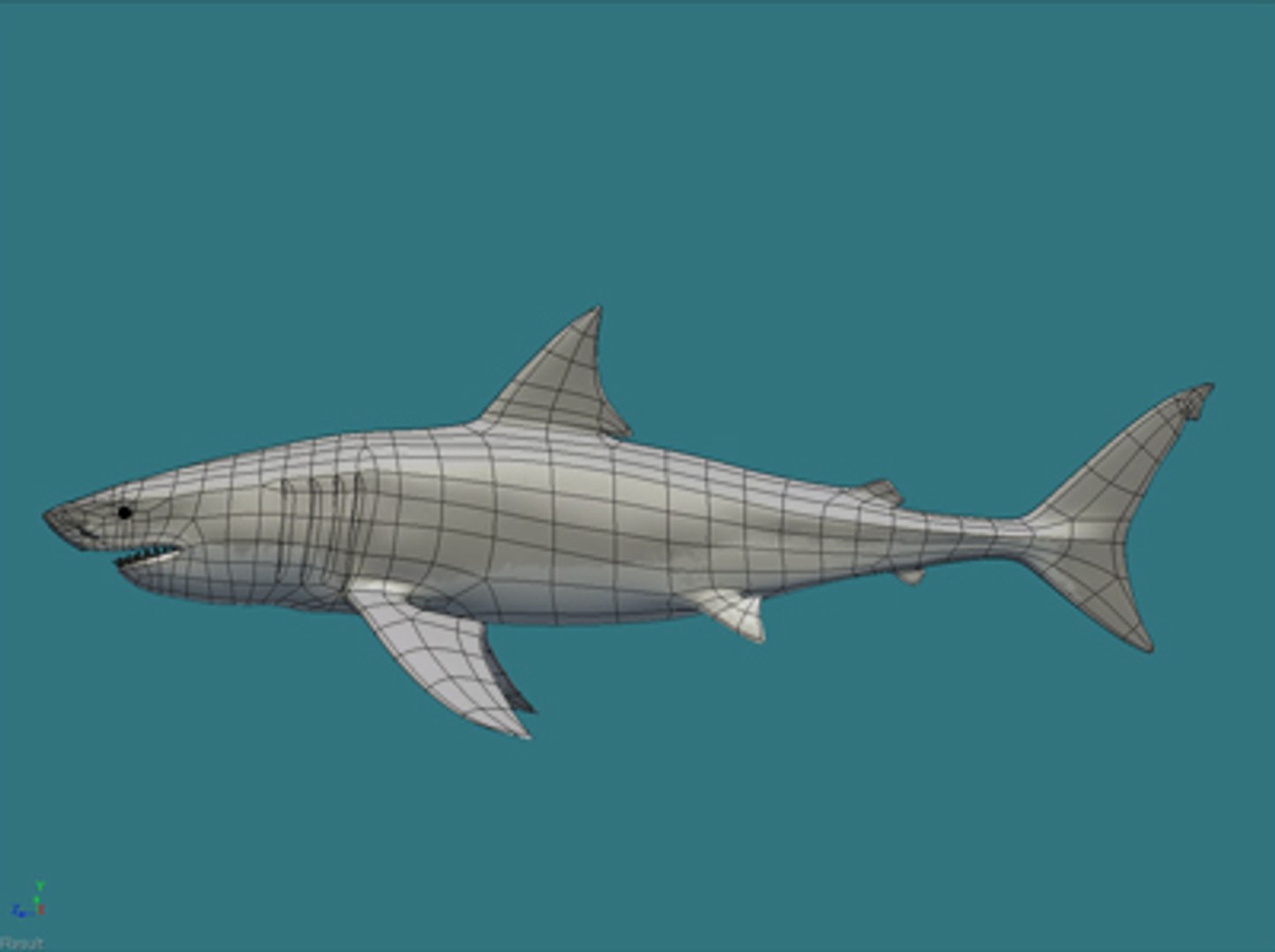 3d Model Great White Shark