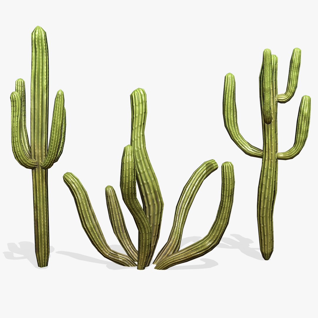 Stylized Cactus Large 3D Model - TurboSquid 2134772