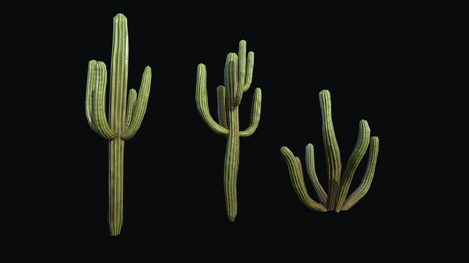 Stylized Cactus Large 3D Model - TurboSquid 2134772