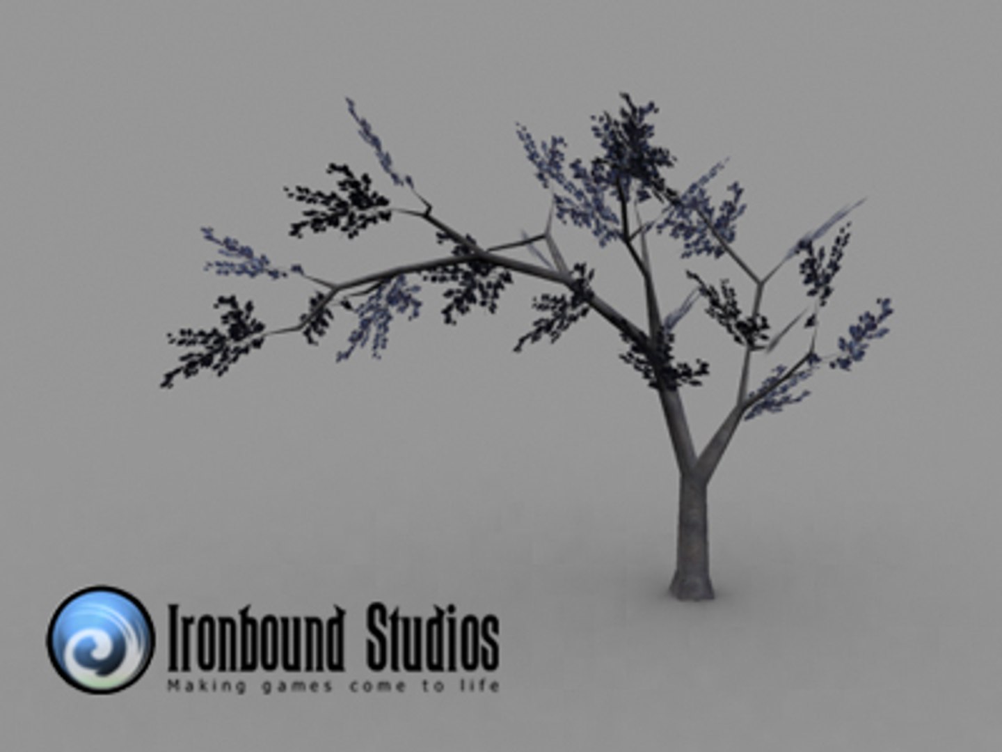 free beech tree 3d model