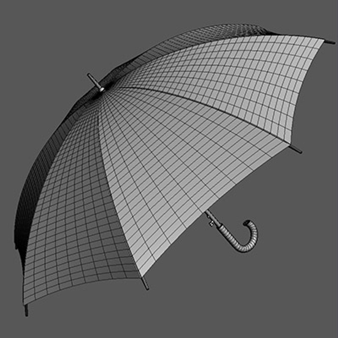 Umbrella Rain 3d Model
