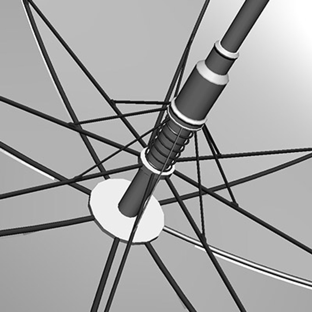 Umbrella Rain 3d Model