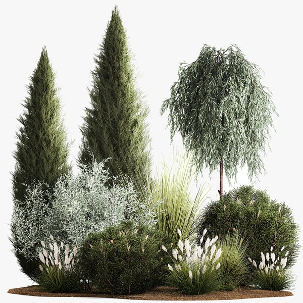 3D Trees And Bushes For The Garden Spruce Thuja 1192 - TurboSquid 2026871