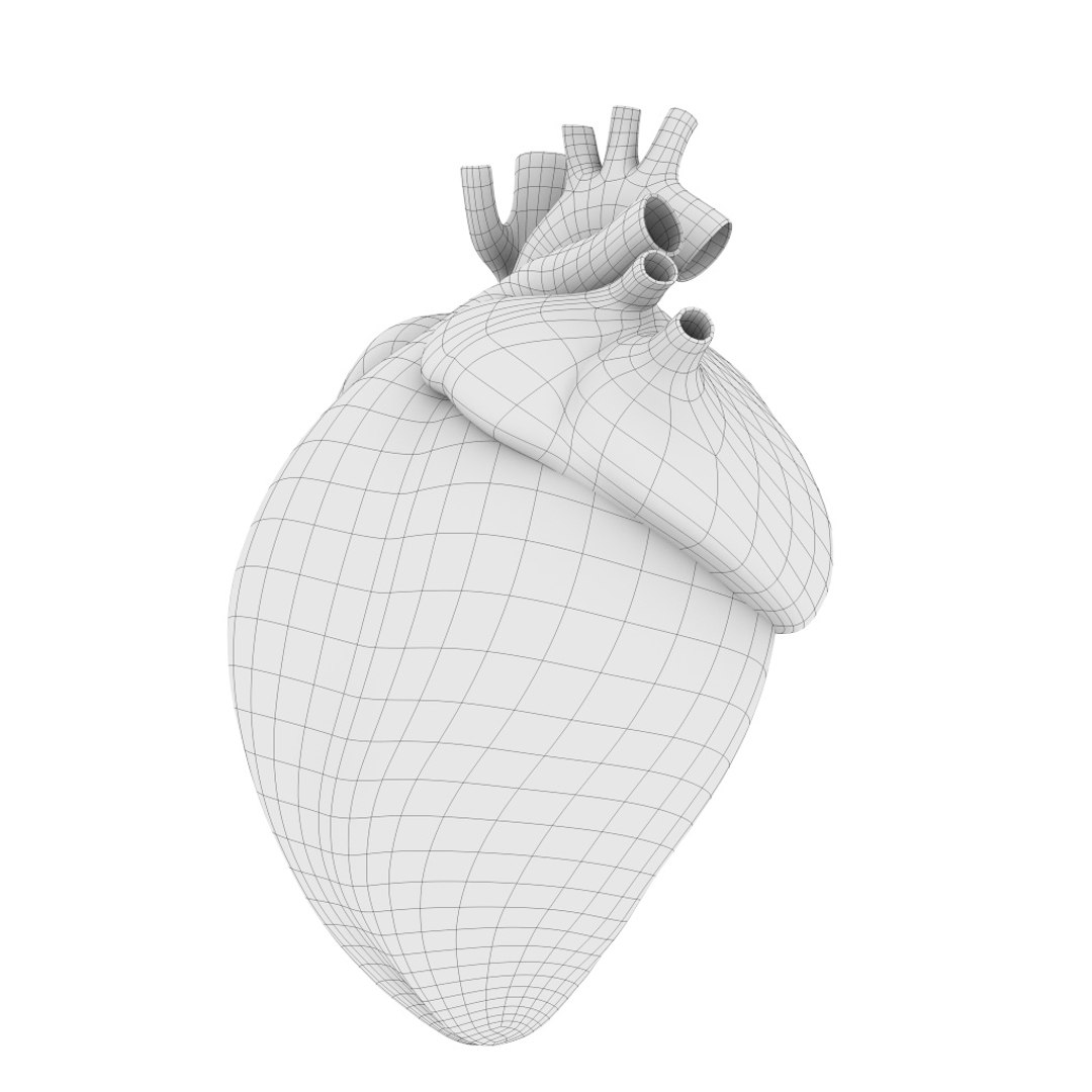 3D Human Heart Ready Games Model - TurboSquid 1365241