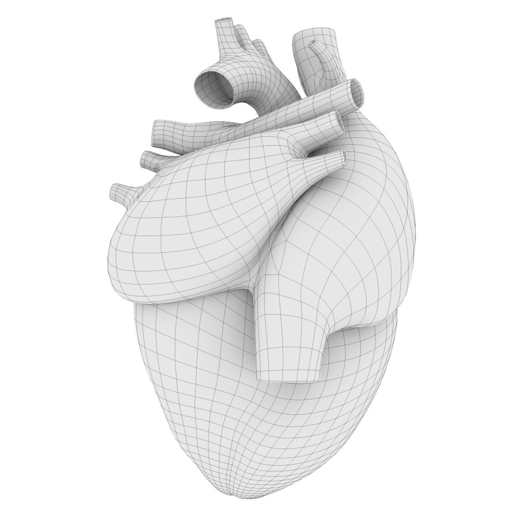 3D Human Heart Ready Games Model - TurboSquid 1365241