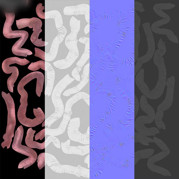 modèle 3D de Intestin grêle humain - TurboSquid 1549554