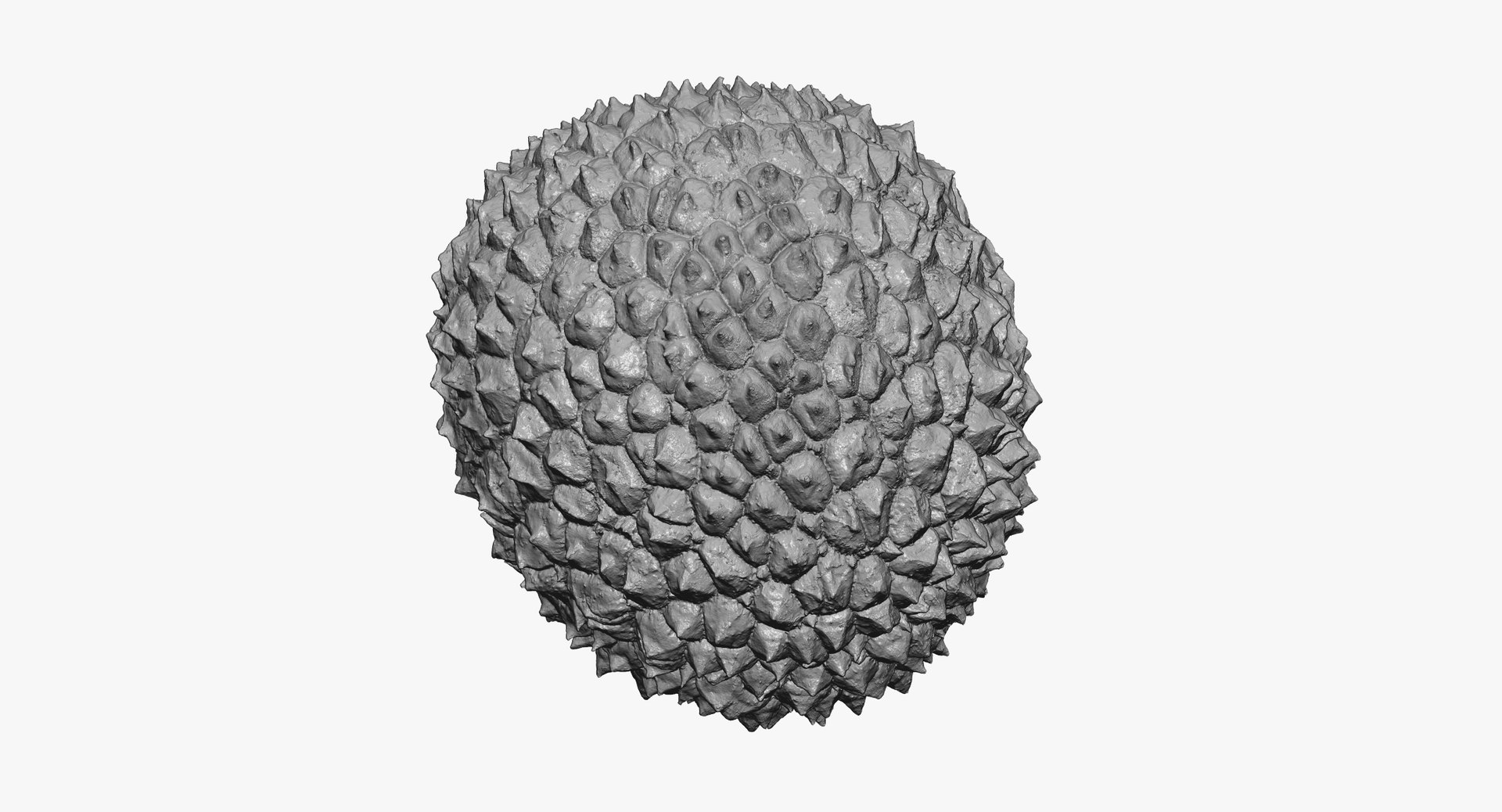 3D Model Lychee 03 Raw Scan - TurboSquid 1538950