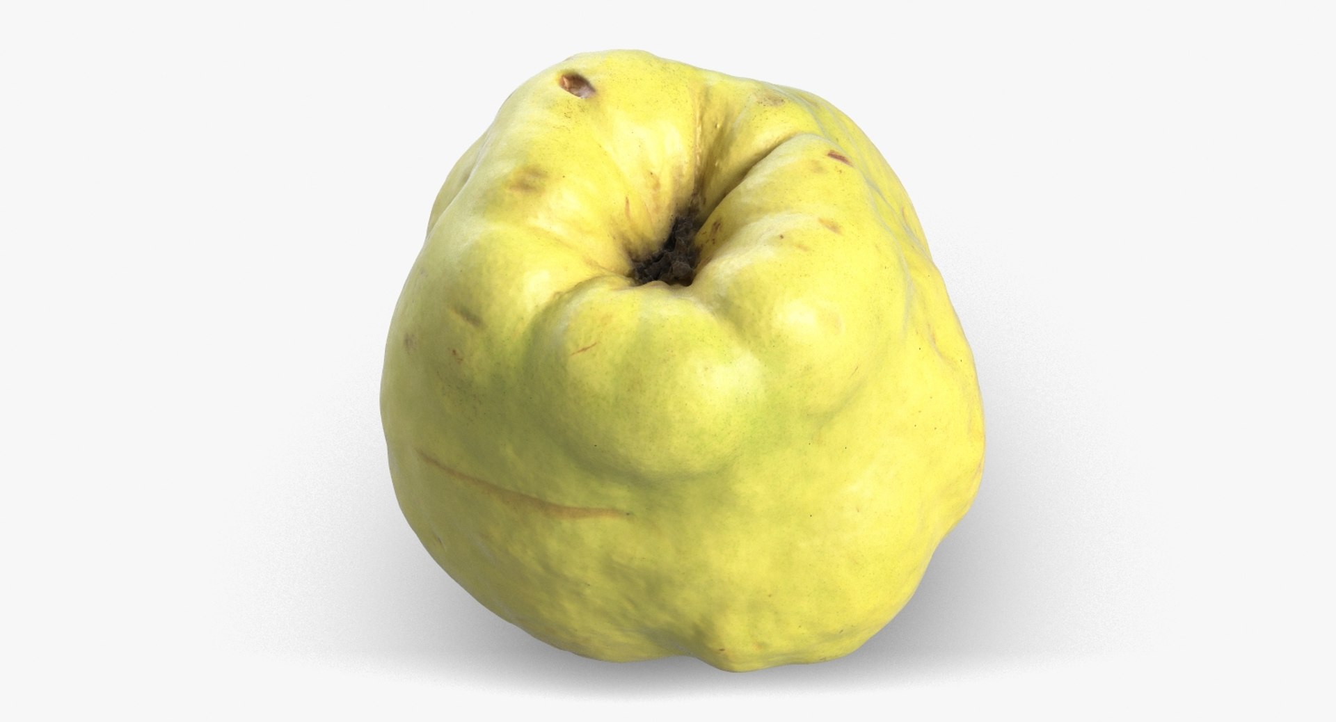 3D Quince 1 - TurboSquid 1334783