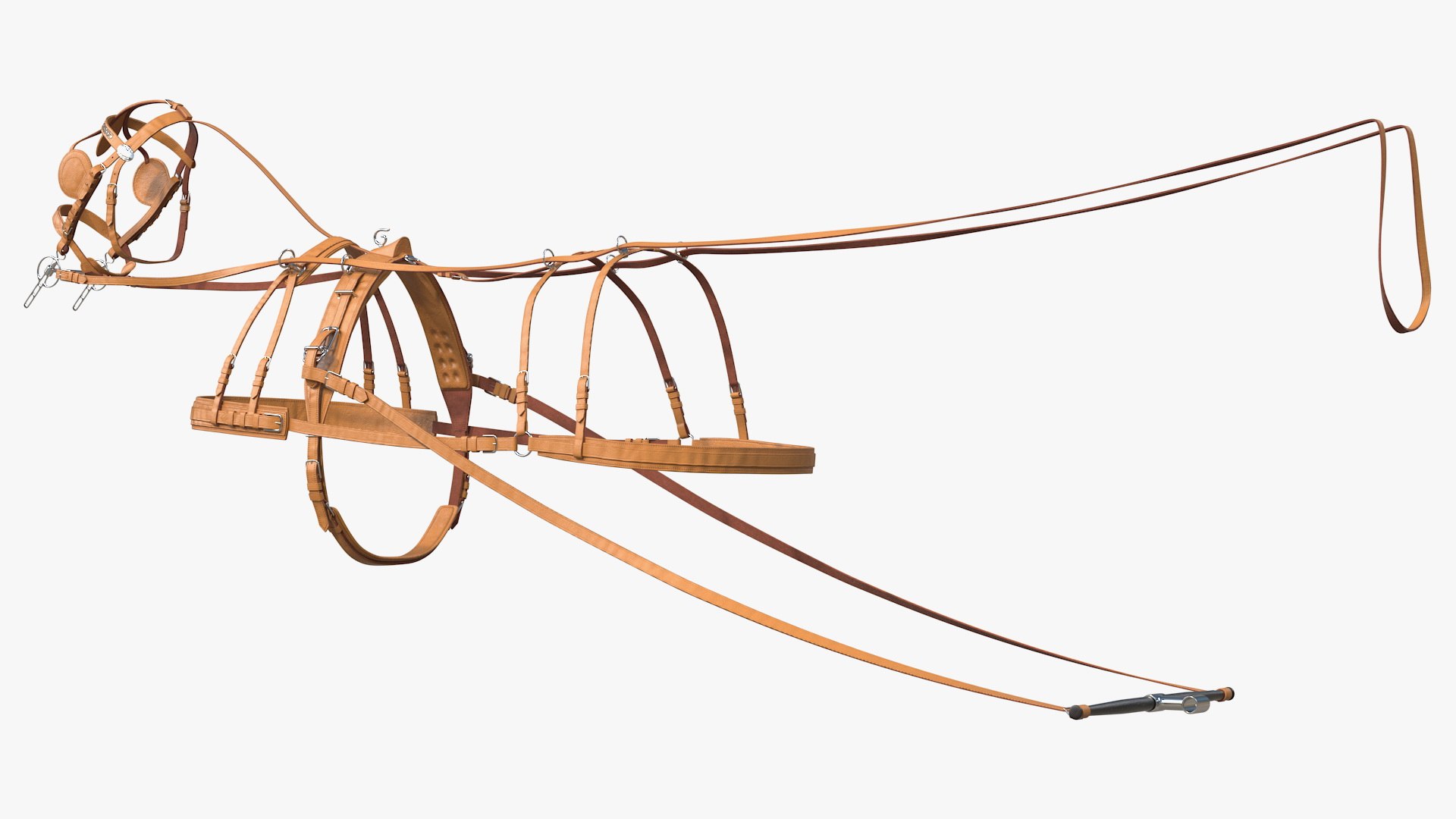 Leather Single Driving Harness 3D Model - TurboSquid 1581063