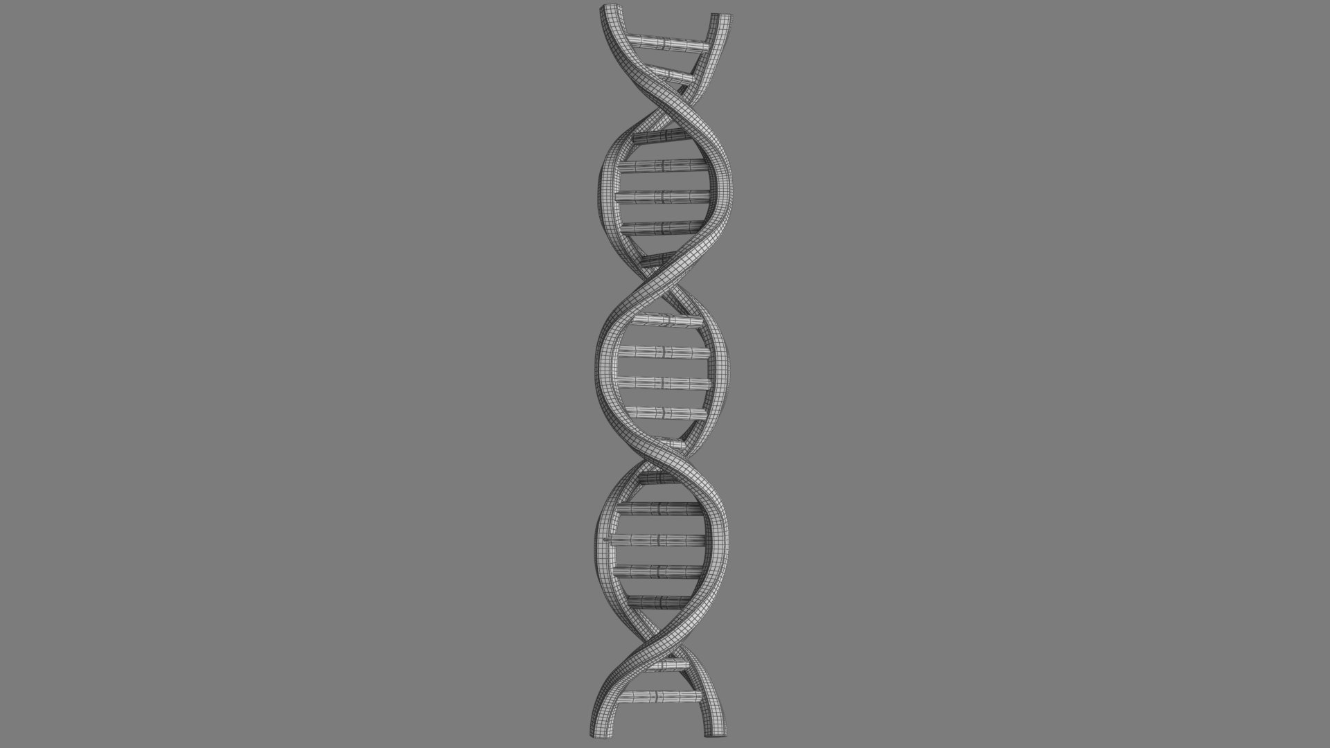 3D Model Structure Of DNA V4 - TurboSquid 2432619