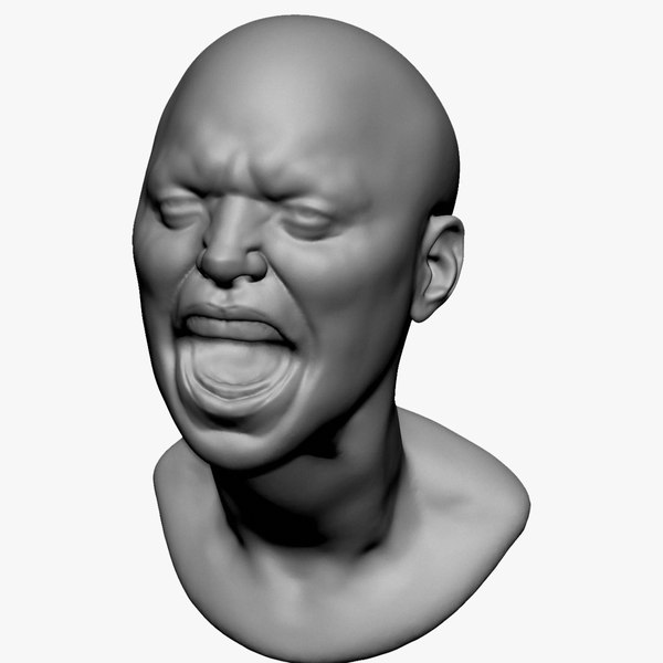 Female head anatomy 3D model - TurboSquid 1591184