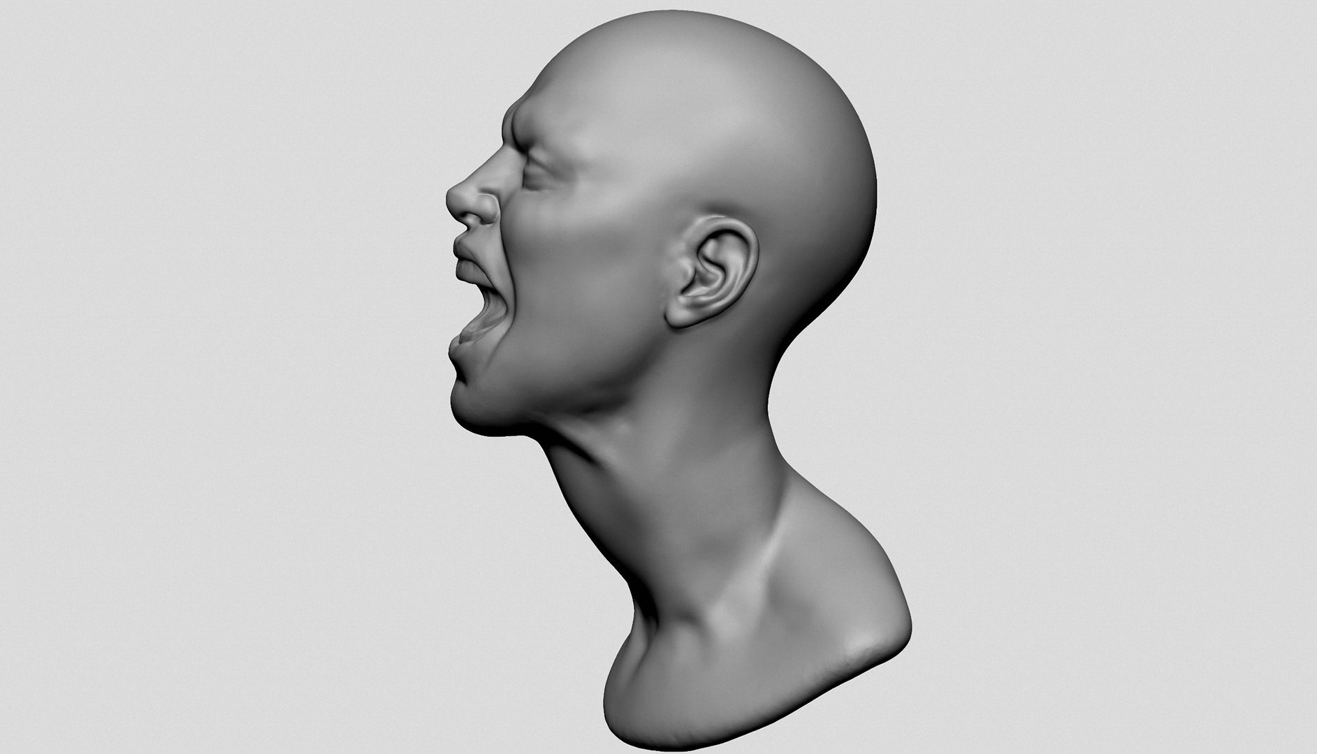 Female head anatomy 3D - TurboSquid 1572312